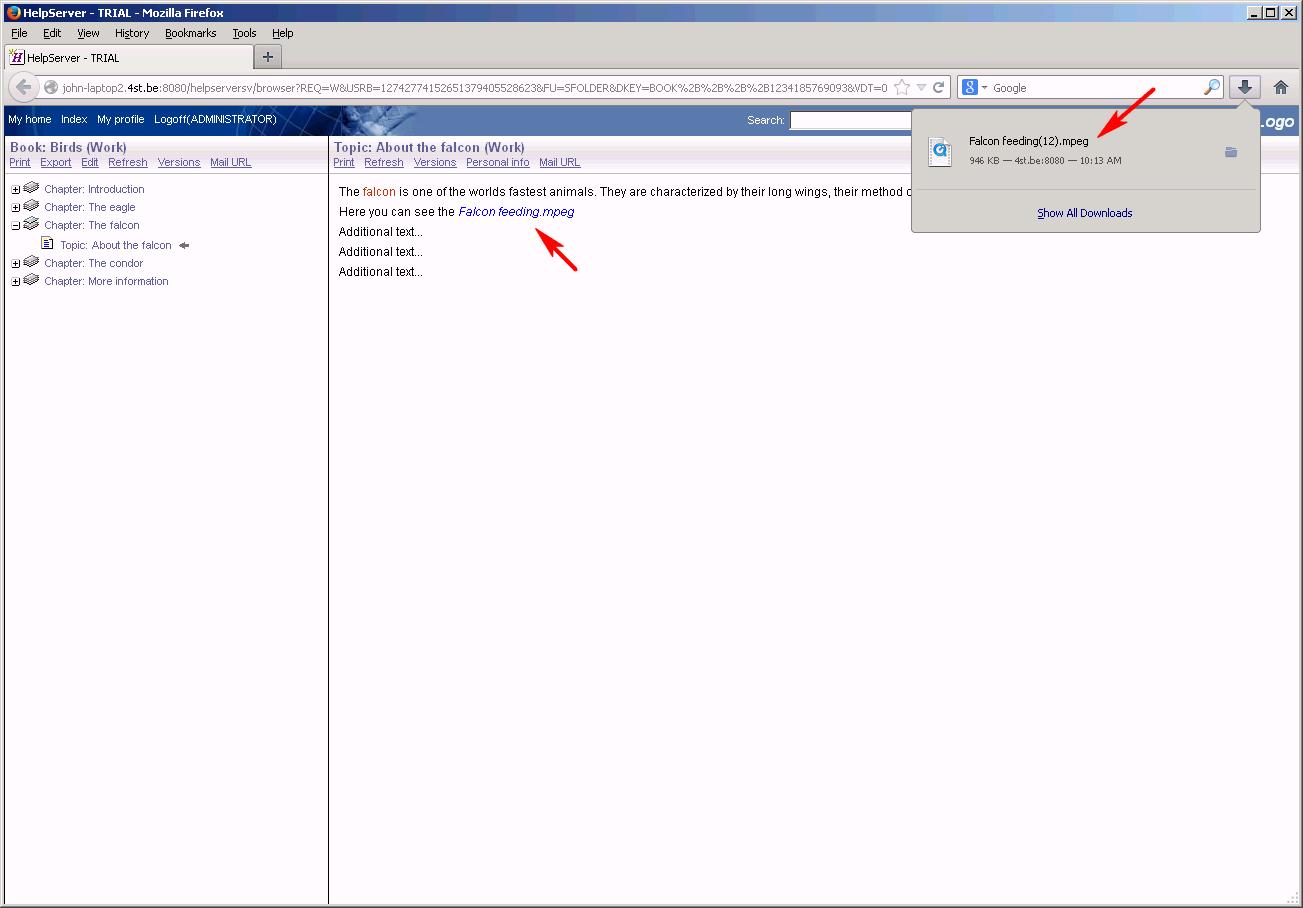 End user guide - Downloading files