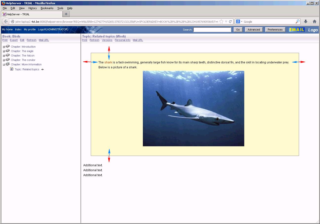 Authoring - The margins and paddings