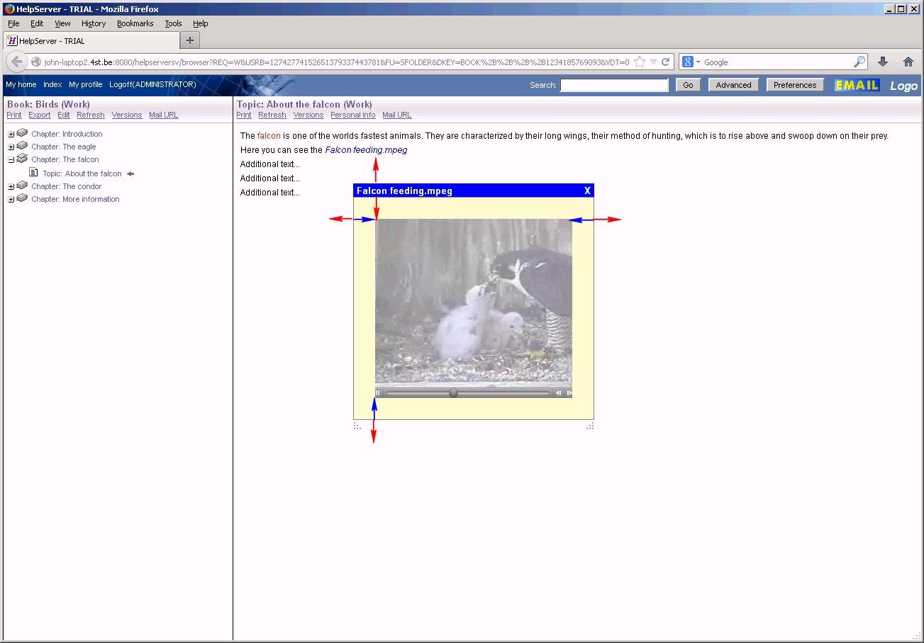 Authoring - The margins and paddings
