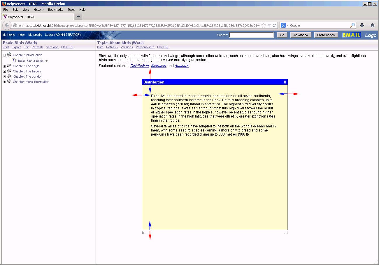 Authoring - The margins and paddings